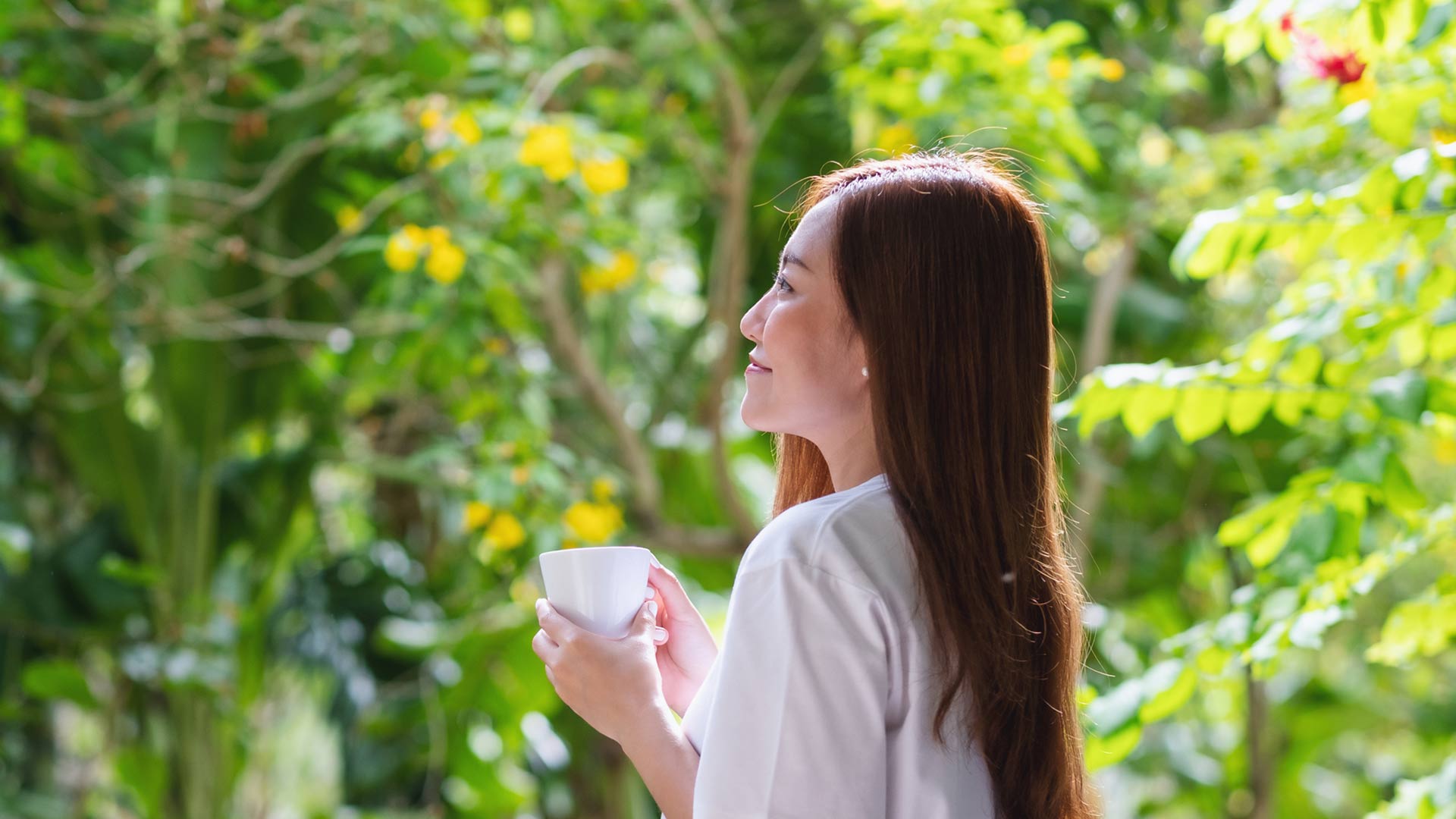 Homepage Main - Iplus Supplies